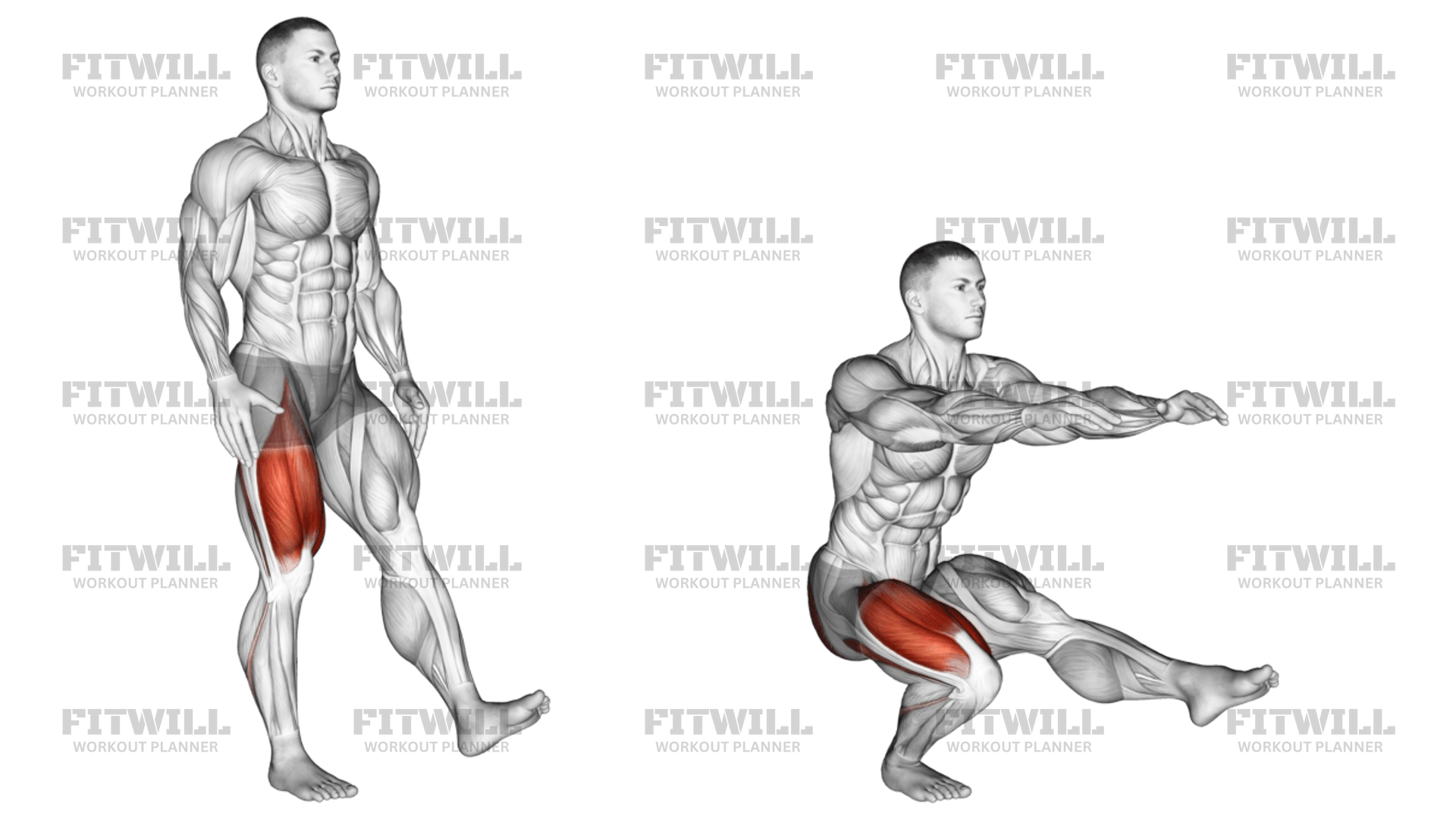 Single Leg Squat (pistol) Male: Exercise Guide, Video, Techniques ...