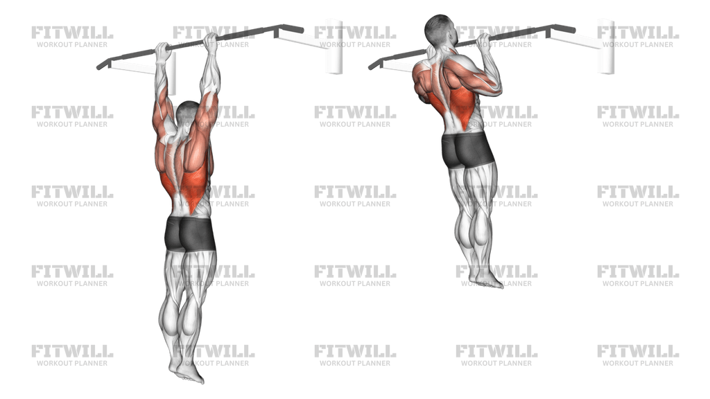 Shoulder Grip Pull-up: Exercise Guide, Video, Techniques, Benefits, How ...
