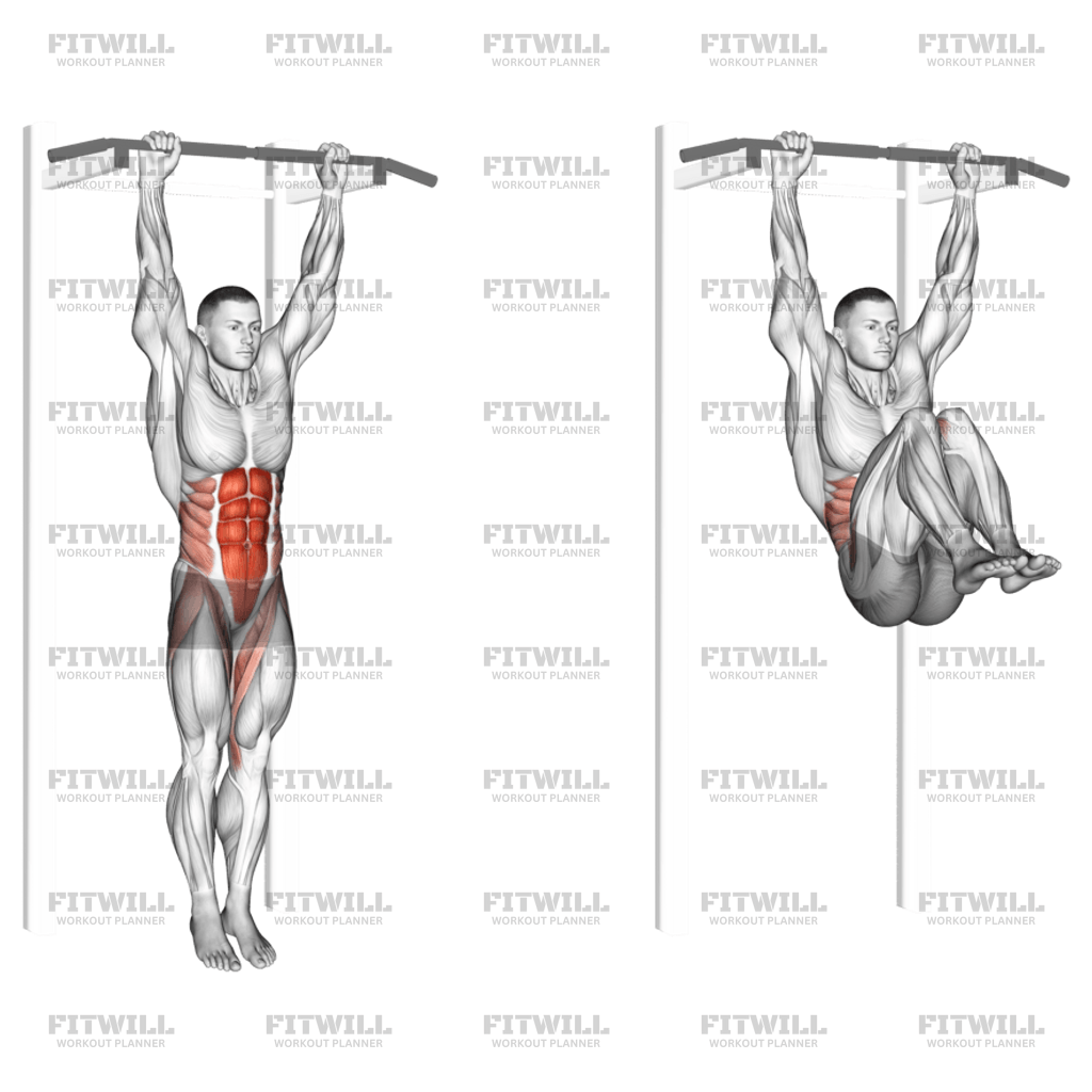 Hanging Leg Hip Raise: Exercise Guide, Video, Techniques, Benefits, How ...