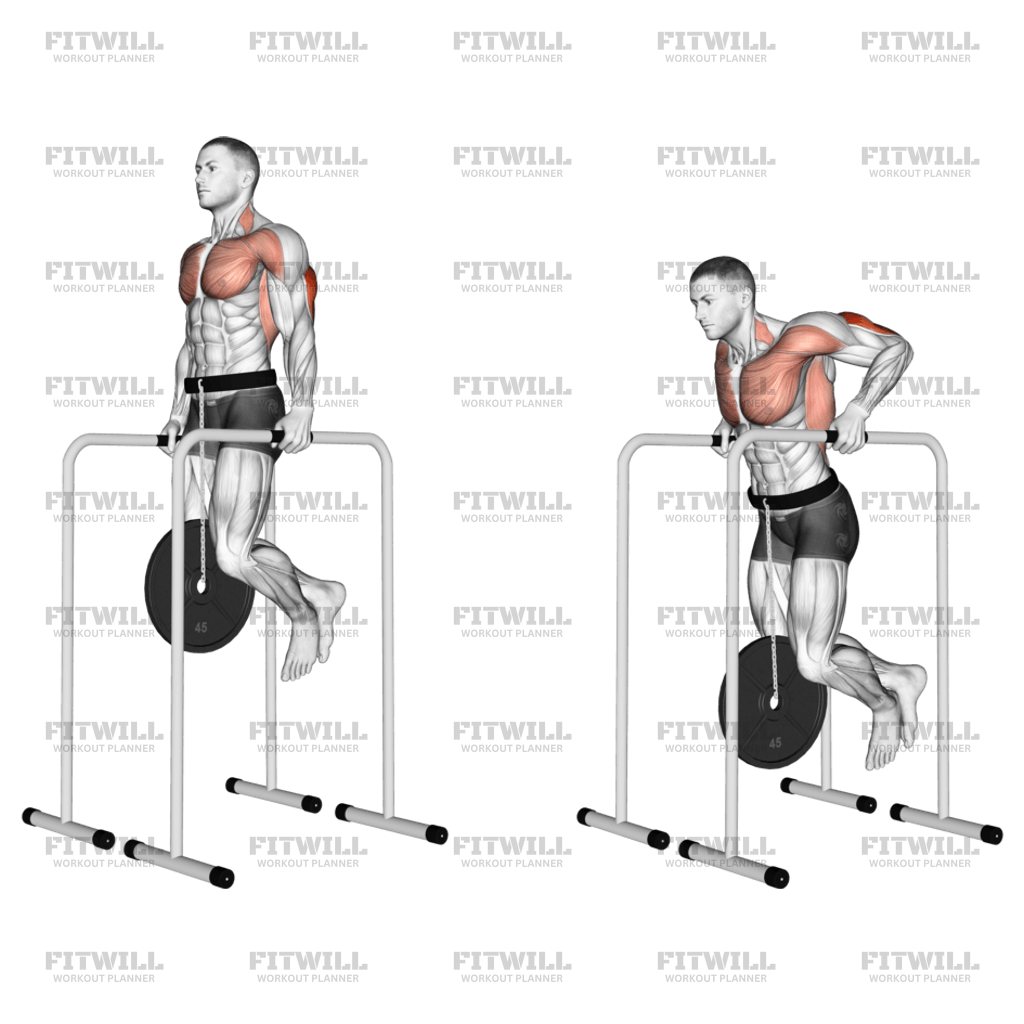 Weighted Triceps Dip On High Parallel Bars: Exercise Guide, Techniques ...
