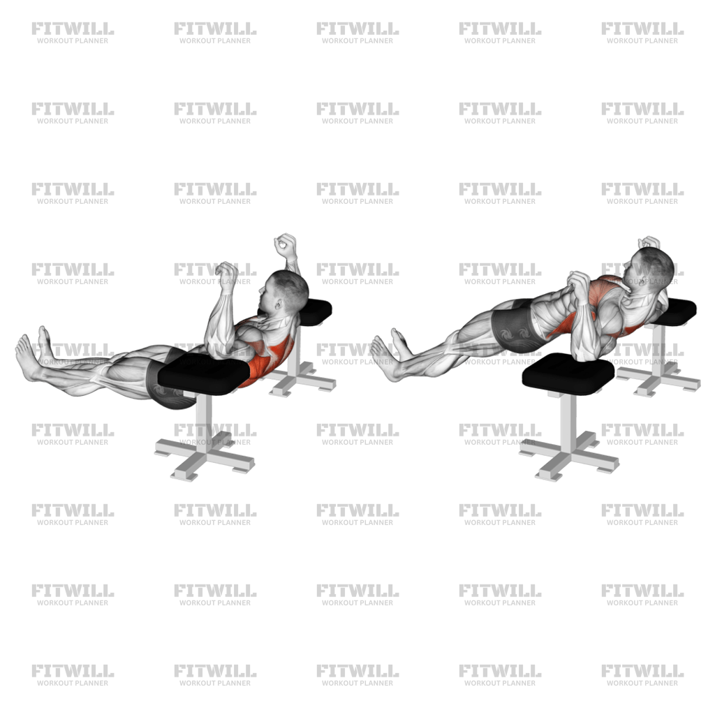 Elevación De Codos - Flexión Invertida: Guía de Ejercicios, Video ...