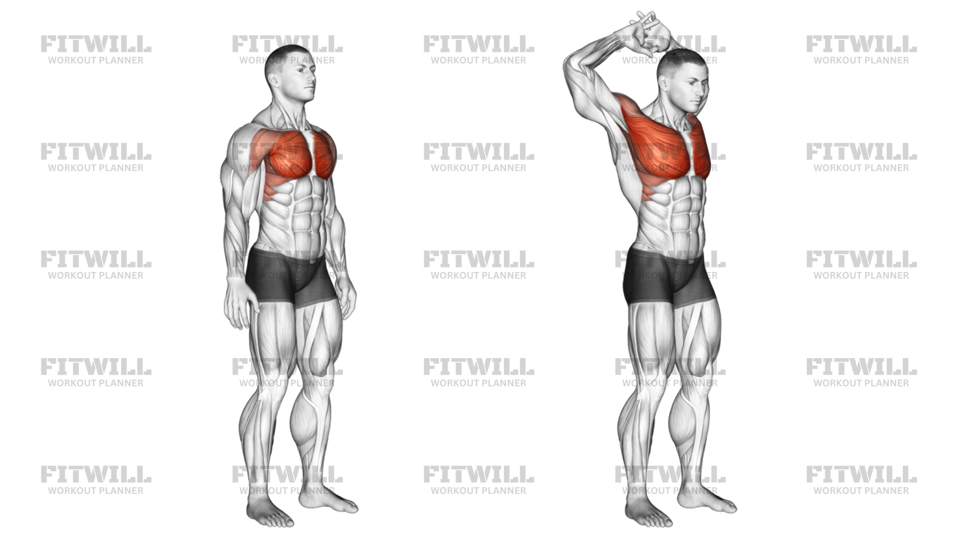 Above Head Chest Stretch: Exercise Guide, Video, Techniques, Benefits ...