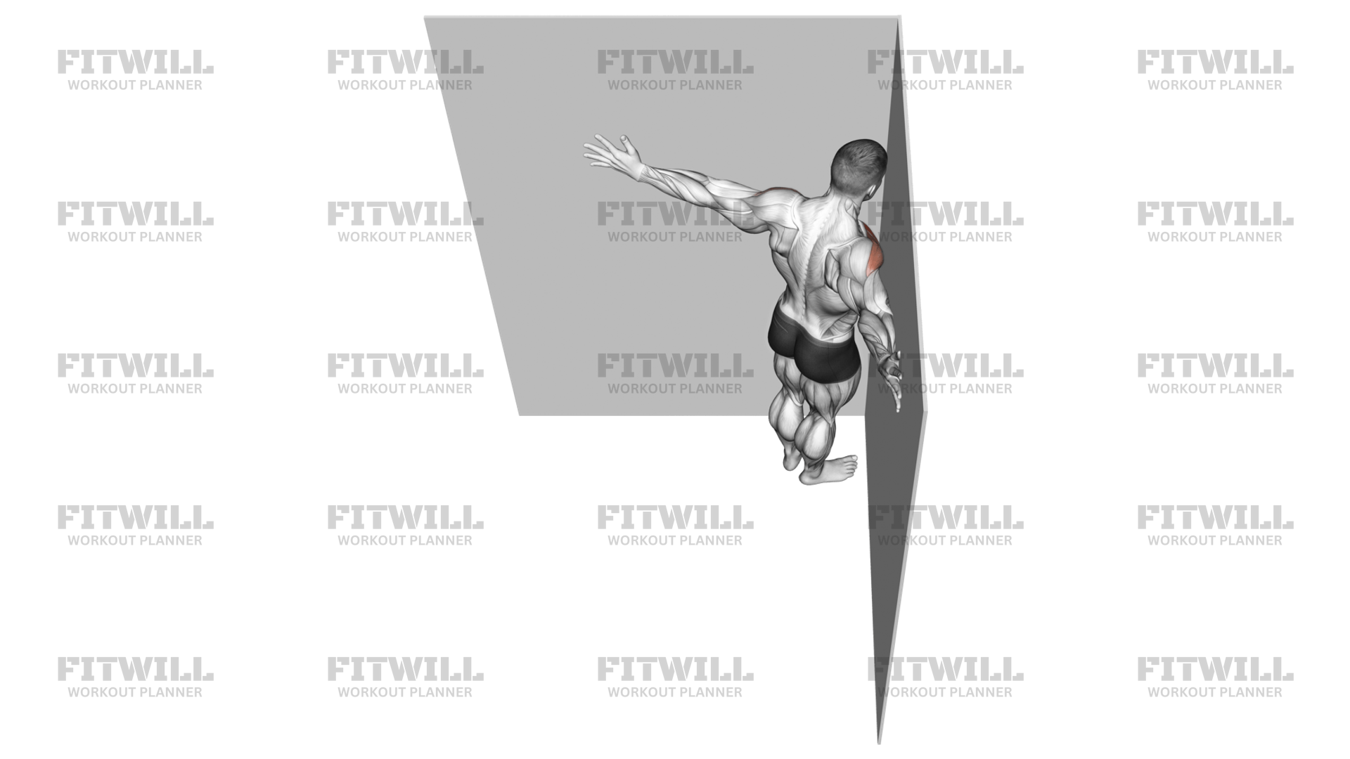 Conner Wall Chest Stretch Exercise Guide Video Techniques Benefits