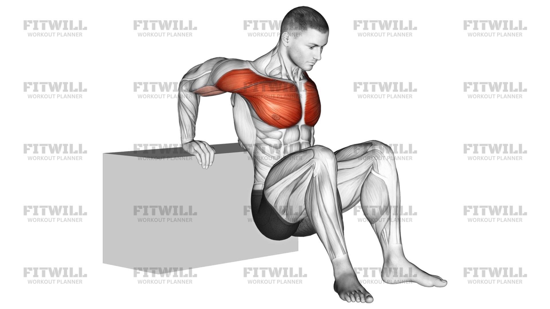Reverse Chest Stretch: Exercise Guide, Techniques, Benefits, How to ...