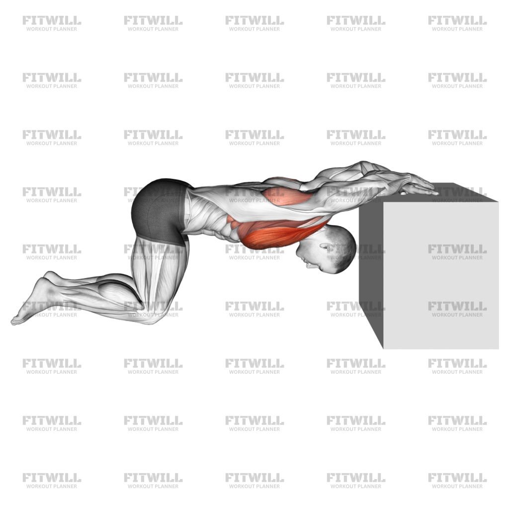 Kneeling Chest Stretch: Exercise Guide, Techniques, Benefits, How to ...