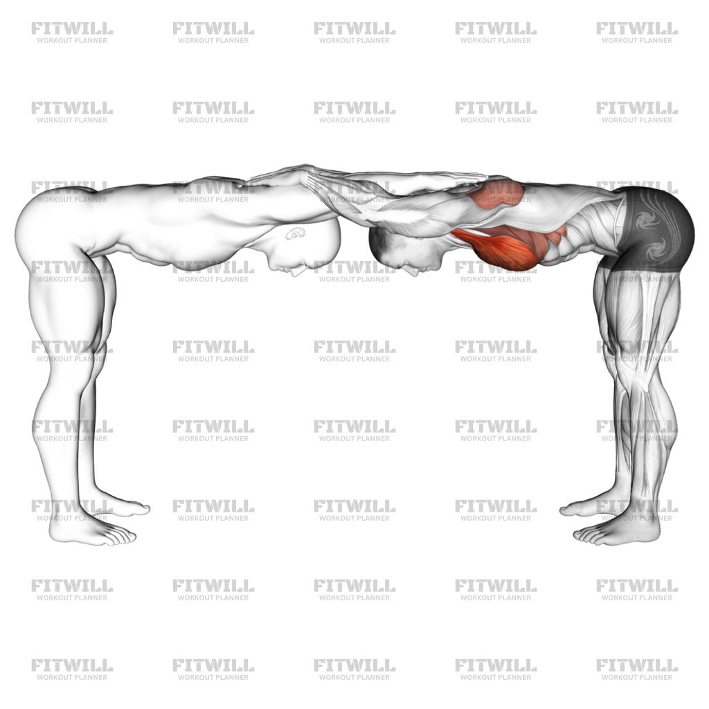 Assisted Trunk Flex Chest Stretch: Exercise Guide, Techniques, Benefits ...