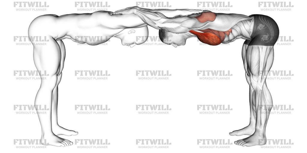 Assisted Trunk Flex Chest Stretch: Exercise Guide, Techniques, Benefits ...