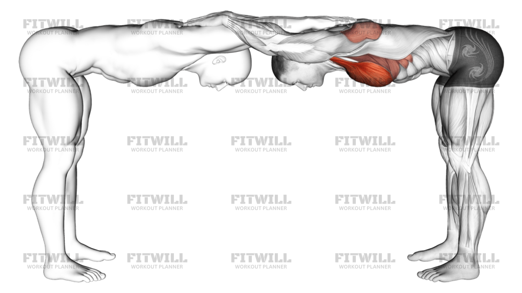 Assisted Trunk Flex Chest Stretch: Exercise Guide, Techniques, Benefits ...