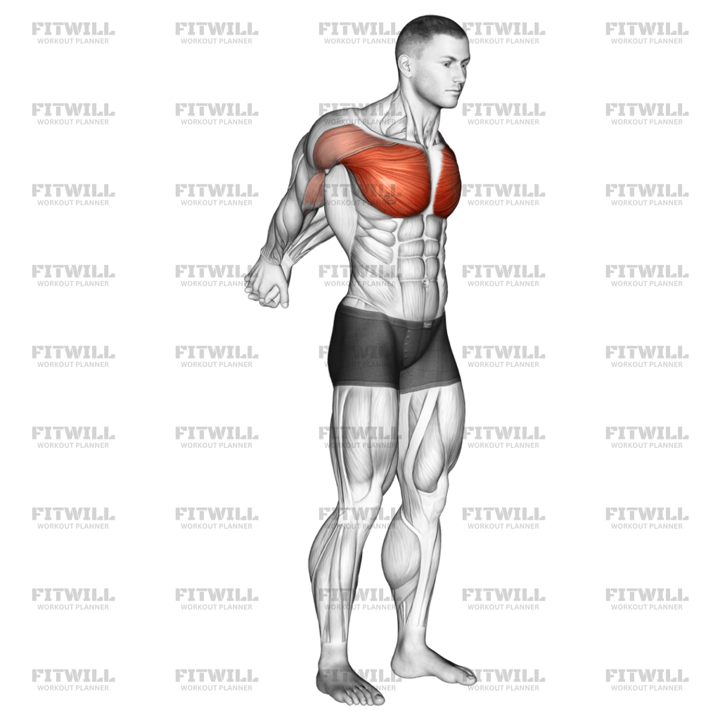 Straight Arms Backward Chest Stretch: Exercise Guide, Techniques ...
