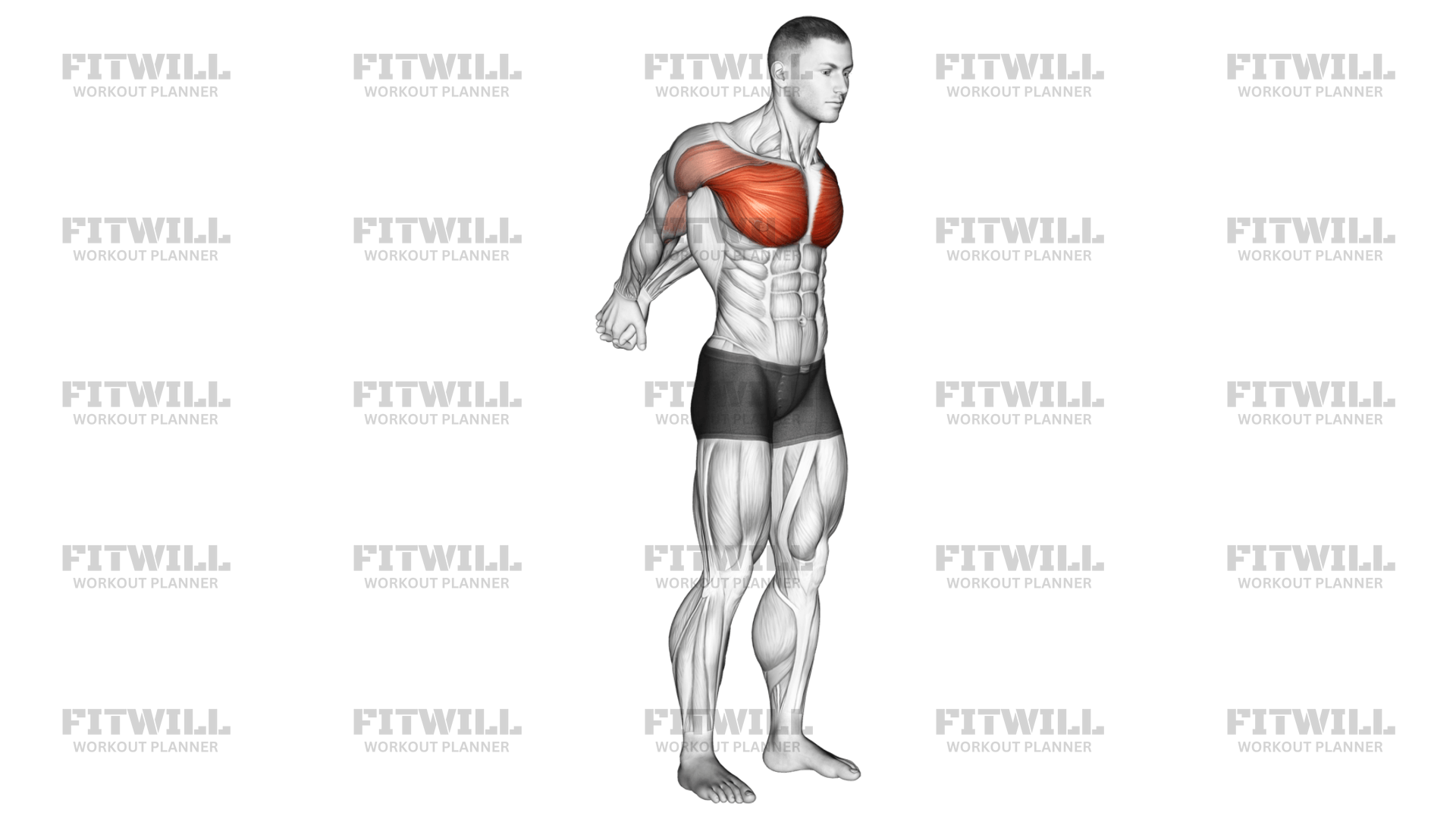 Straight Arms Backward Chest Stretch: Exercise Guide, Techniques ...