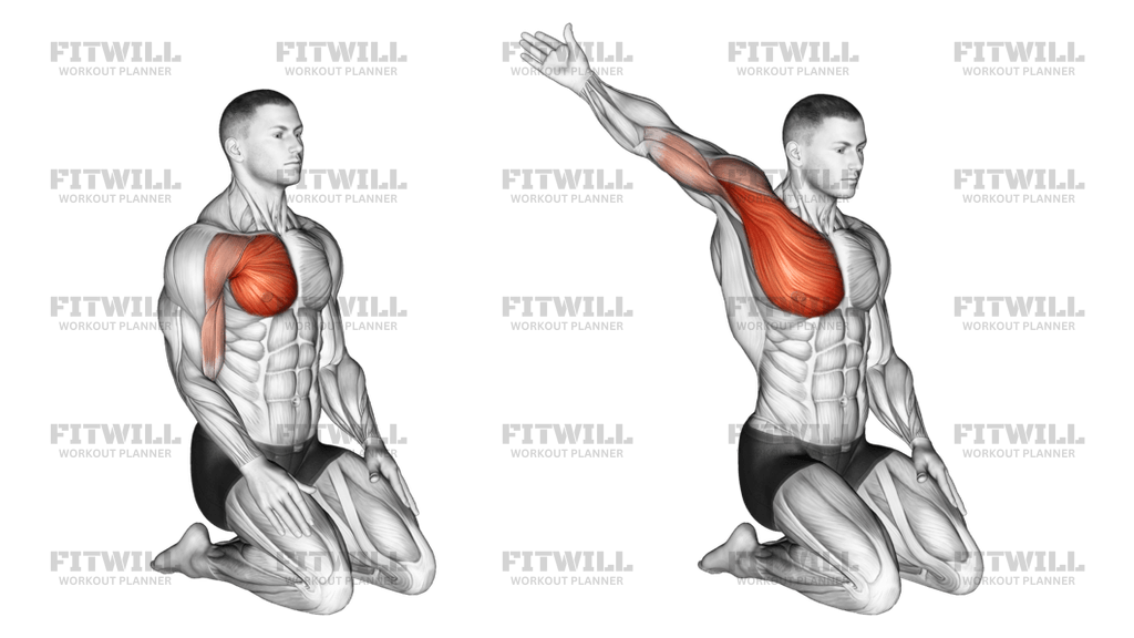 Over Head Straight Arm Stretch: Exercise Guide, Techniques, Benefits ...