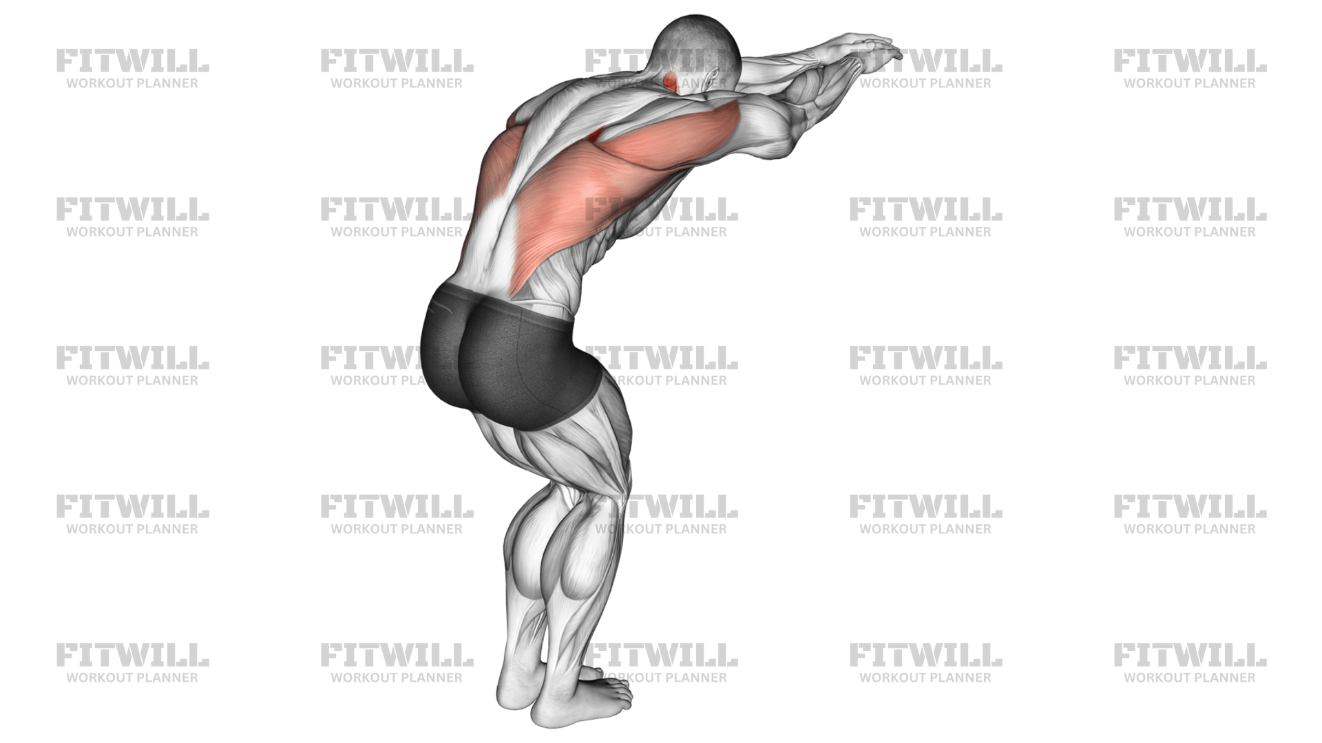 Reach Forward Upper Back Stretch: Exercise Guide, Techniques, Benefits ...