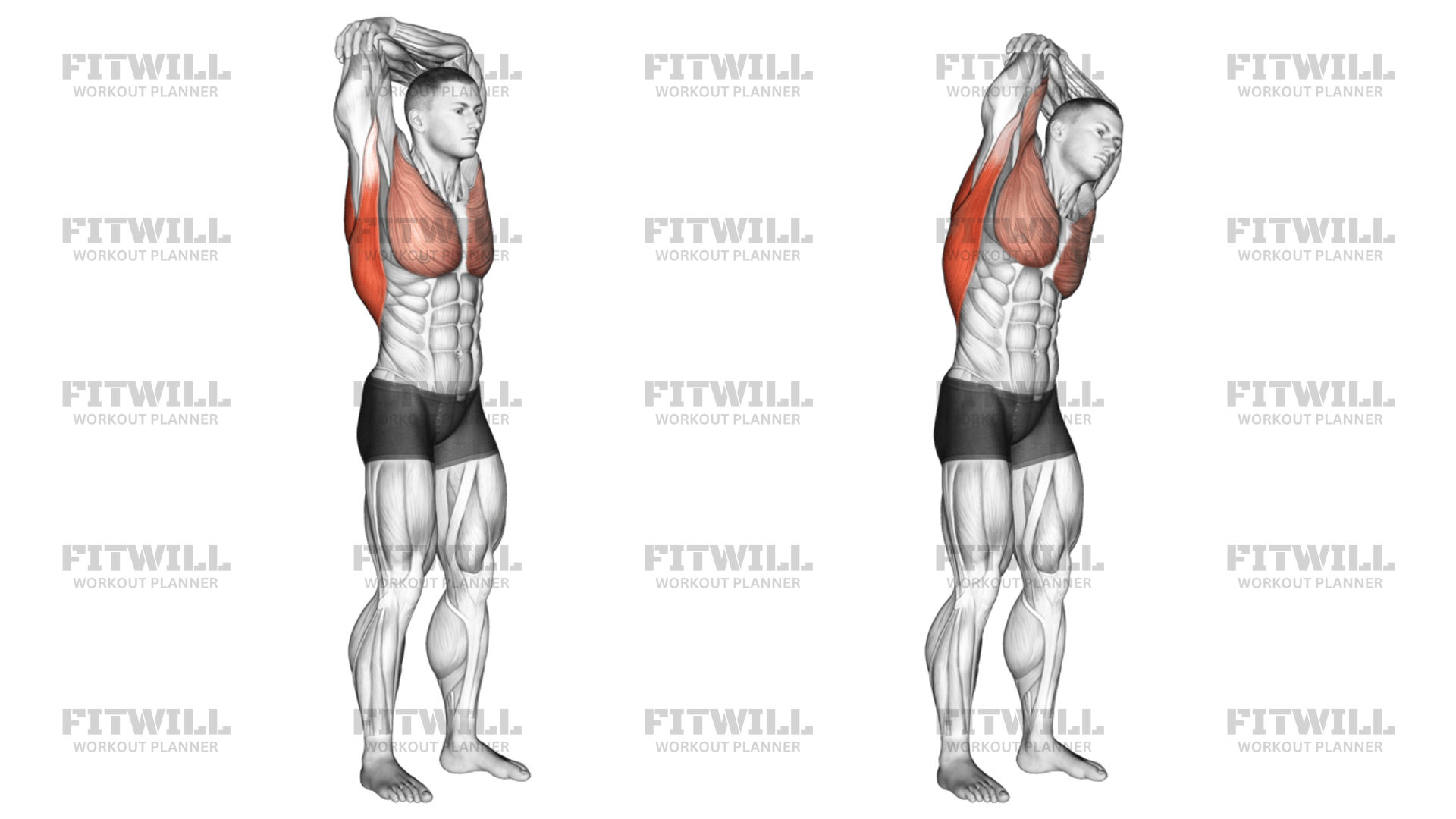 Estiramiento De Alcance Hacia Arriba Con Rotación De Espalda De Pie ...