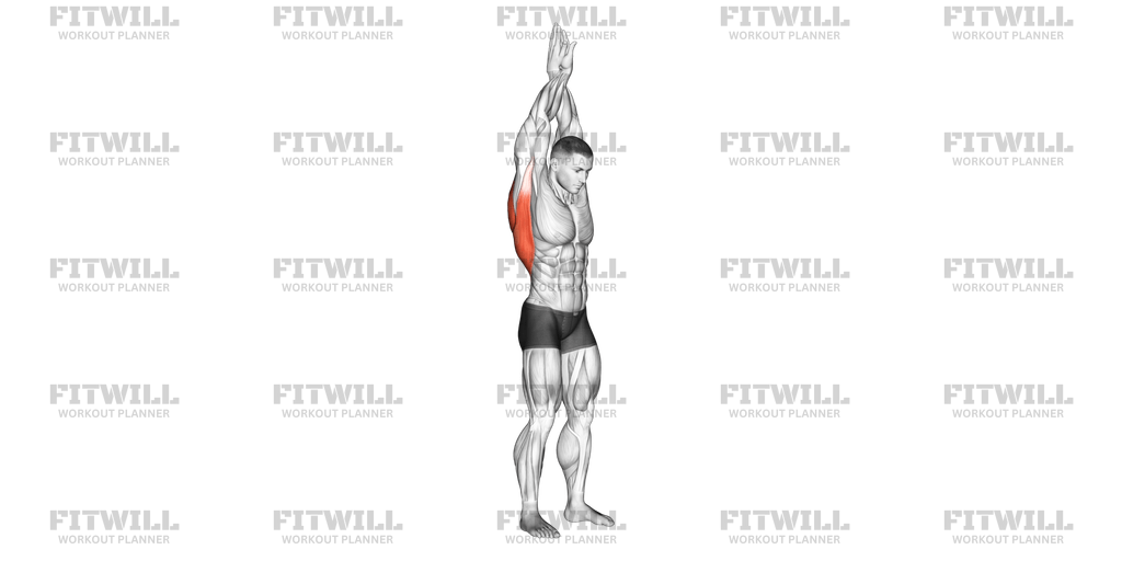 Reach Up Back Stretch: Exercise Guide, Techniques, Benefits, How to ...