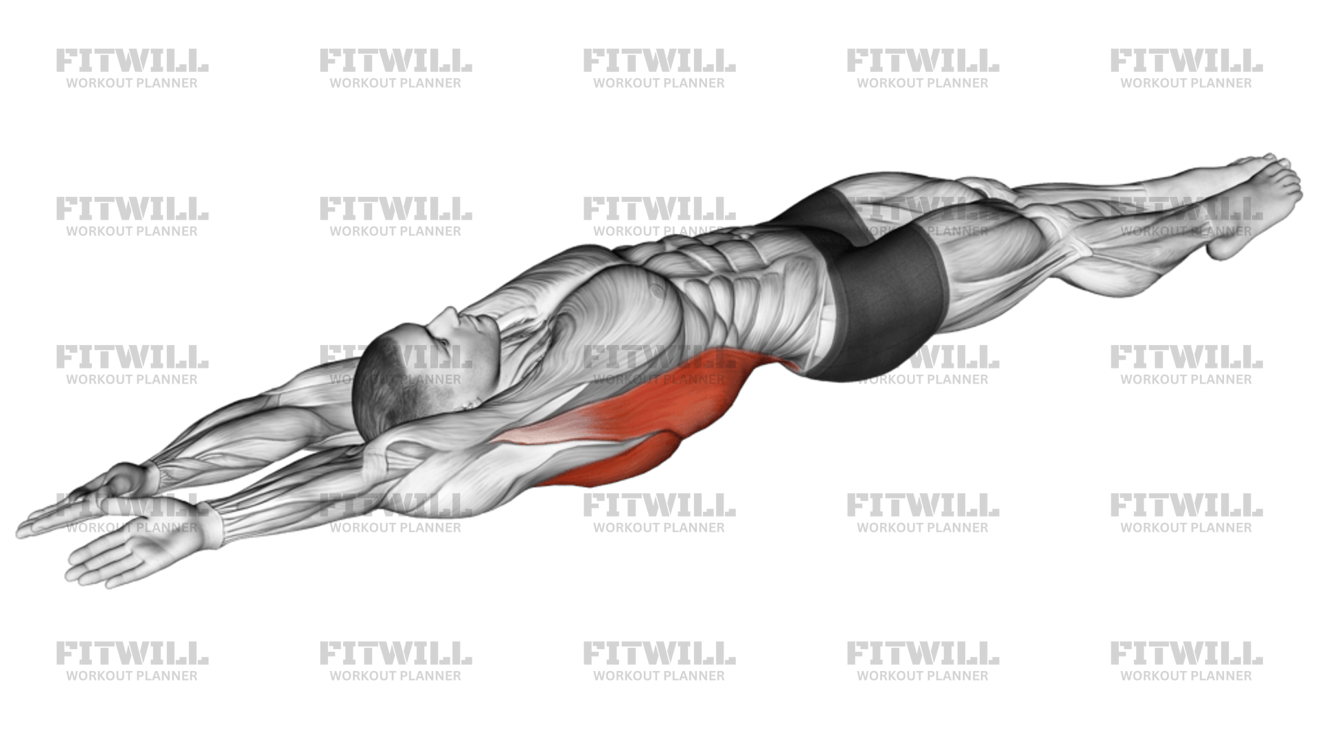 Lying Whole Body Stretch: Exercise Guide, Techniques, Benefits, How to ...