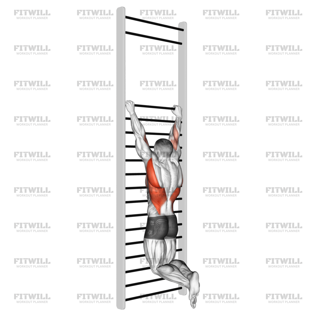 Two Handed Hang Back Stretch (with Training Wall Bars): Exercise Guide ...