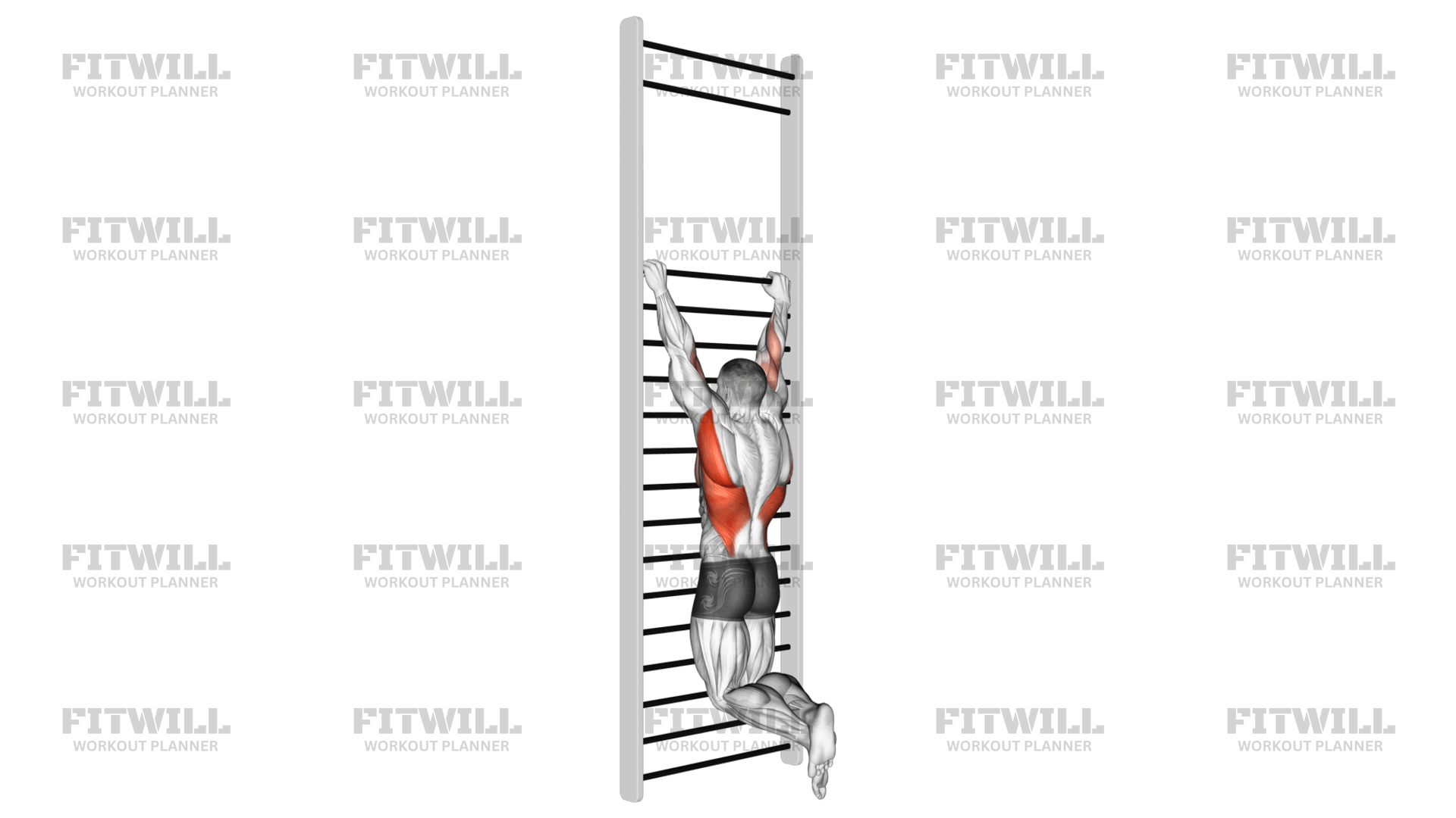 Two Handed Hang Back Stretch (with Training Wall Bars): Exercise Guide ...