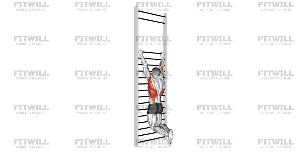Two Handed Hang Back Stretch (with Training Wall Bars): Exercise Guide ...