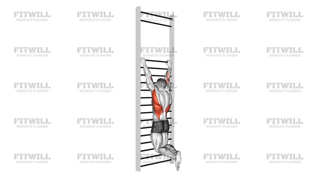 Two Handed Hang Back Stretch (with Training Wall Bars): Exercise Guide ...