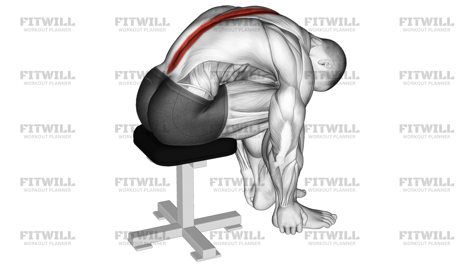 Sitting Lower Trunk Extensor Stretch: Exercise Guide, Techniques ...