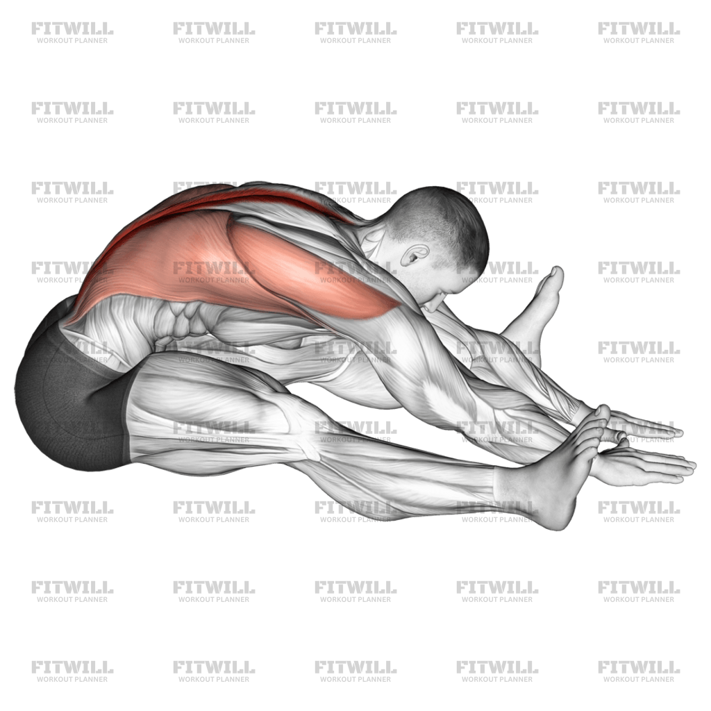Sitting Bent-Over Back Stretch: Exercise Guide, Video, Techniques ...