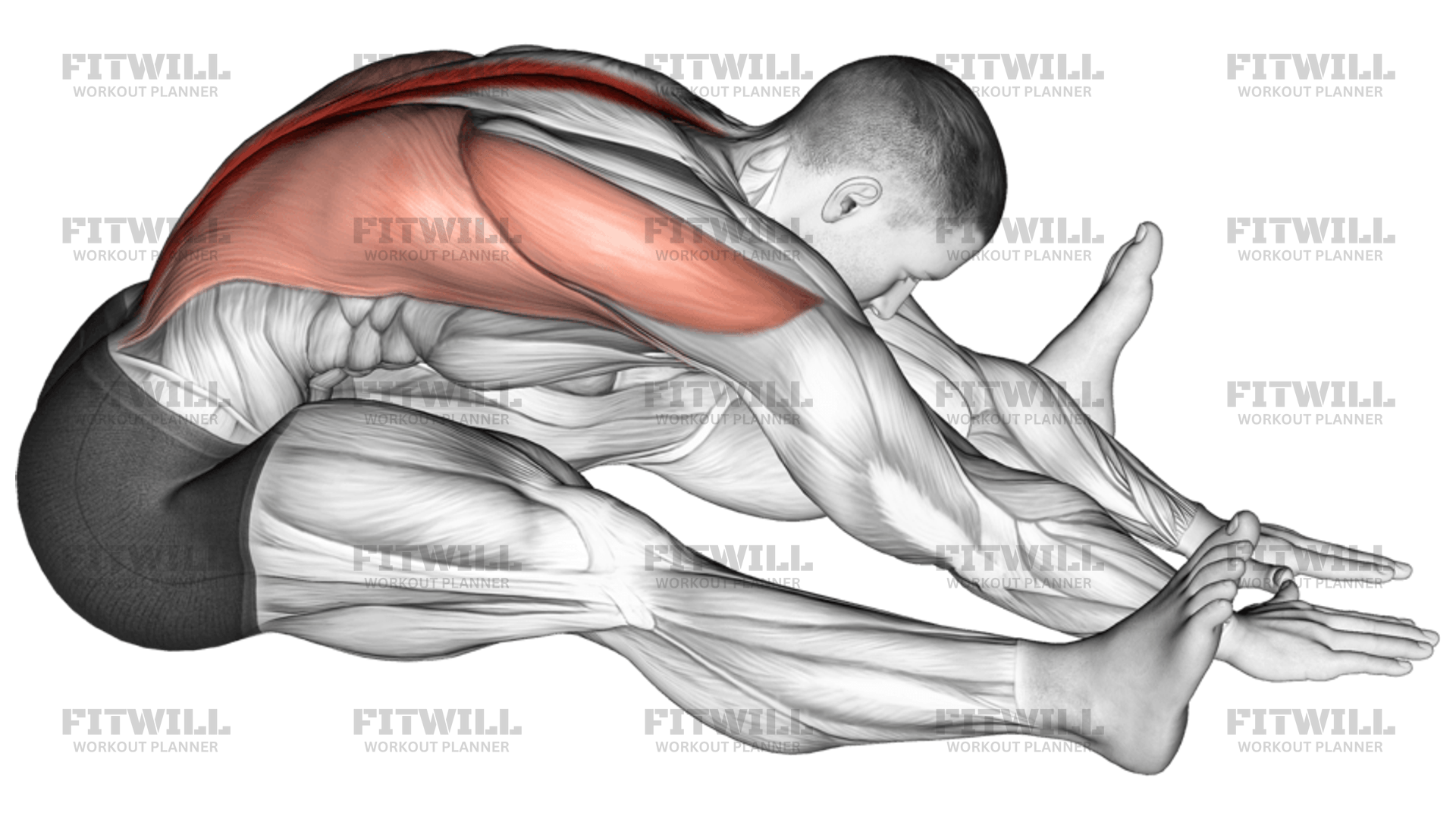 Sitting Bent Over Back Stretch: Exercise Guide, Video, Techniques ...