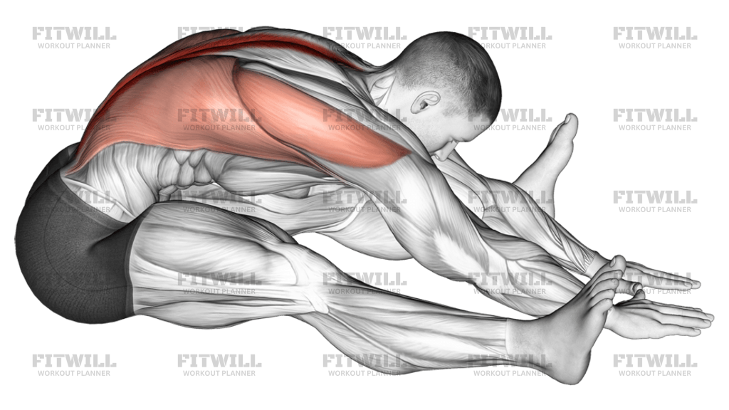 Sitting Bent-Over Back Stretch: Exercise Guide, Video, Techniques ...