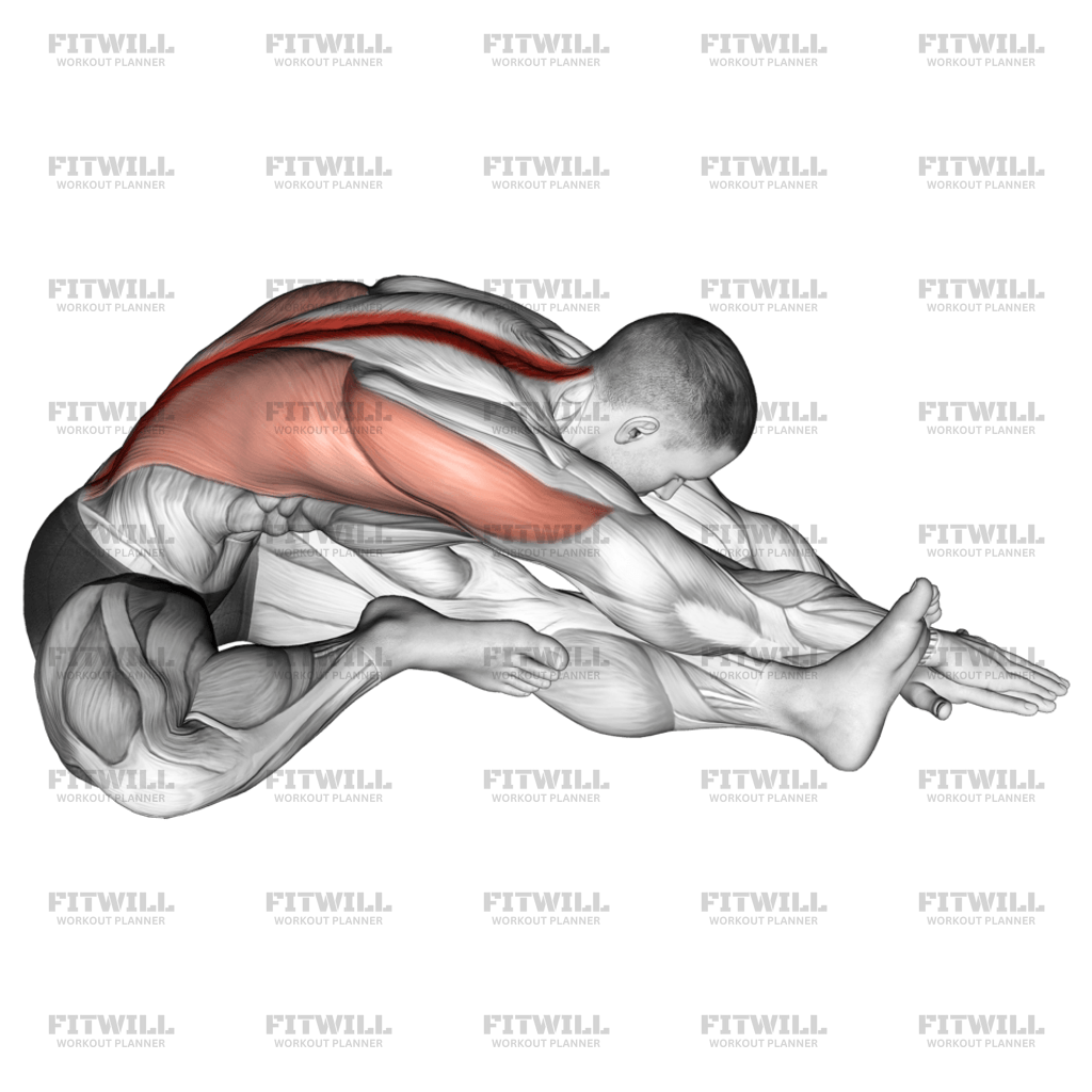 Sitting Side Reach Stretch: Exercise Guide, Video, Techniques, Benefits ...