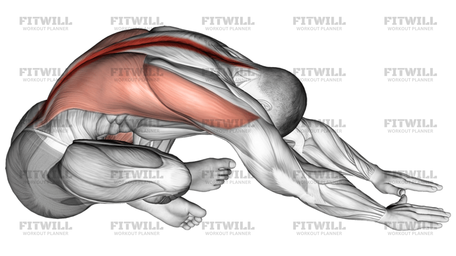 Sitting Crossed Legged Reach Forward Stretch: Exercise Guide, Video ...
