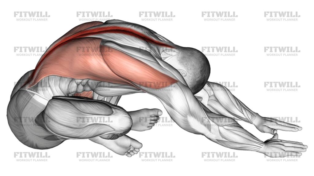 Sitting Crossed Legged Reach Forward Stretch: Guide, Techniques ...