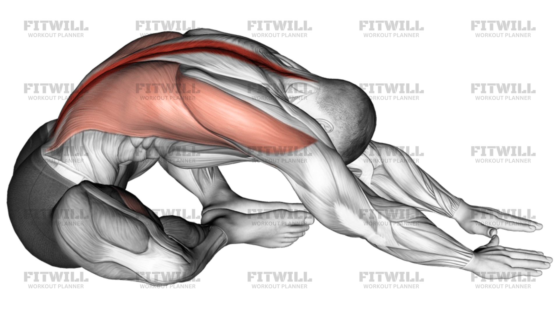 Sitting Feet Together Reach Forward Stretch: Exercise Guide, Techniques ...