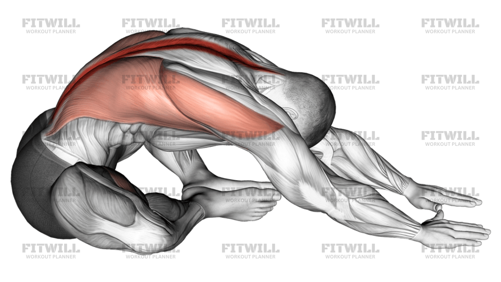 Sitting Feet Together Reach Forward Stretch: Exercise Guide, Techniques ...