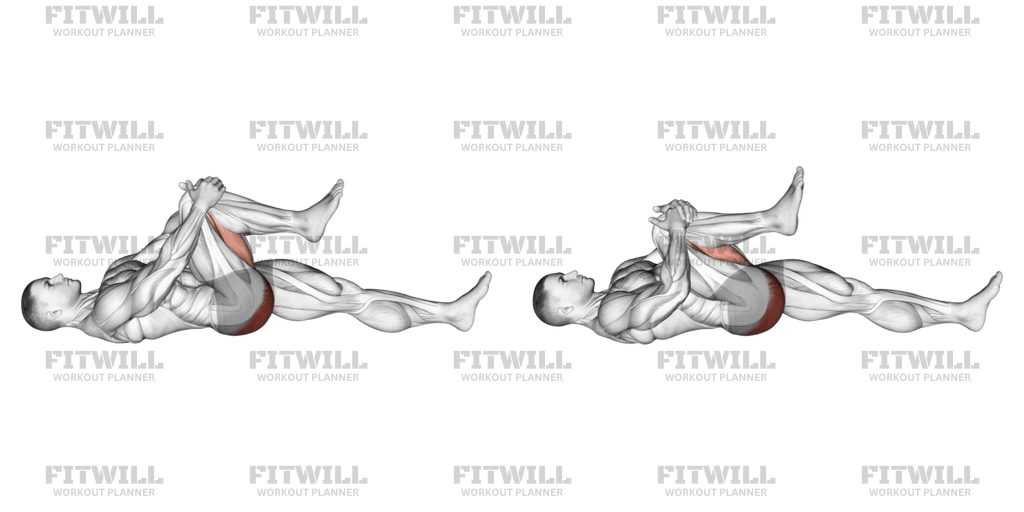 Lying Knee To Chest Stretch: Exercise Guide, Video, Techniques, Benefits, How to, Muscles Worked ...