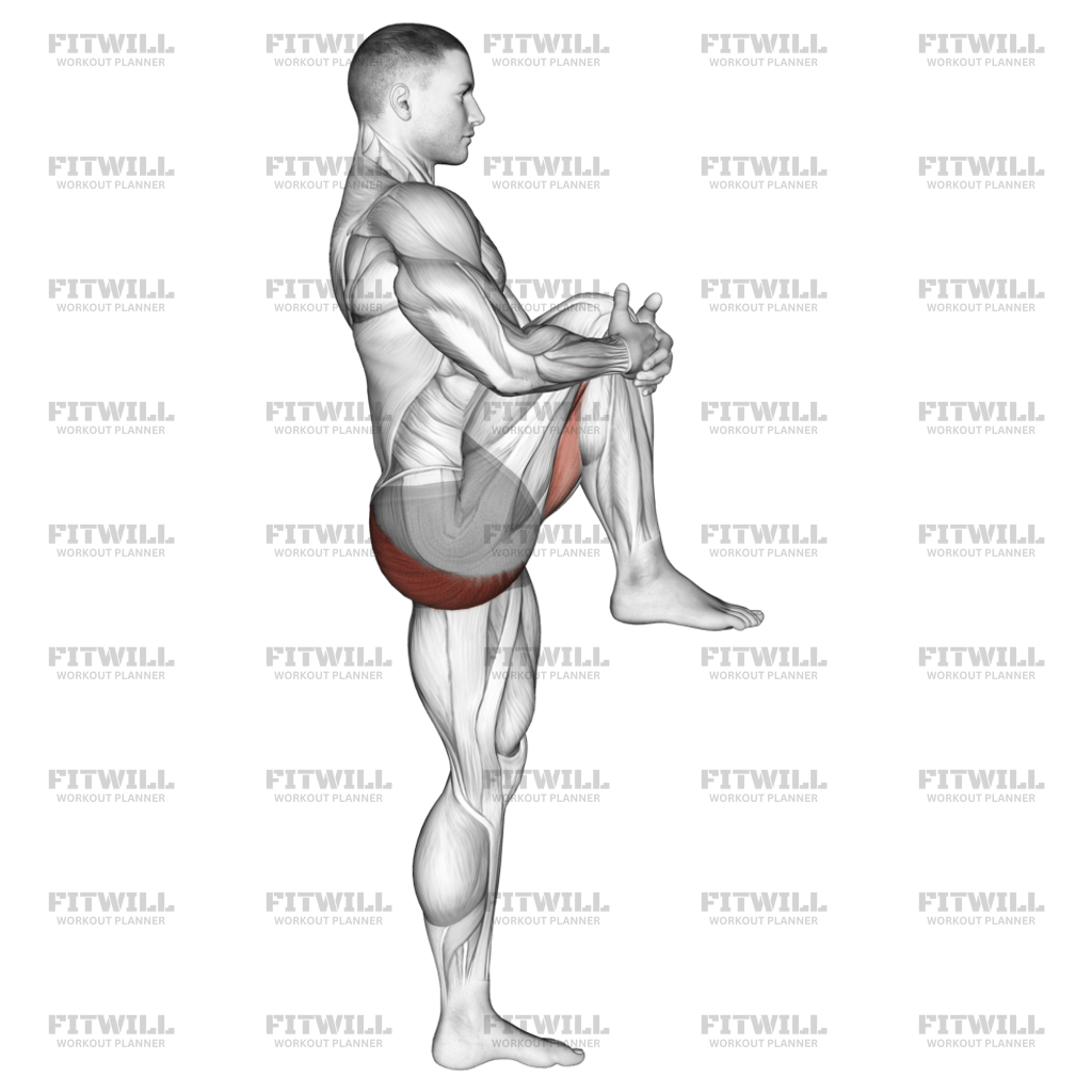 Standing Knee To Chest Stretch Exercise Guide Techniques Benefits How To Muscles Worked