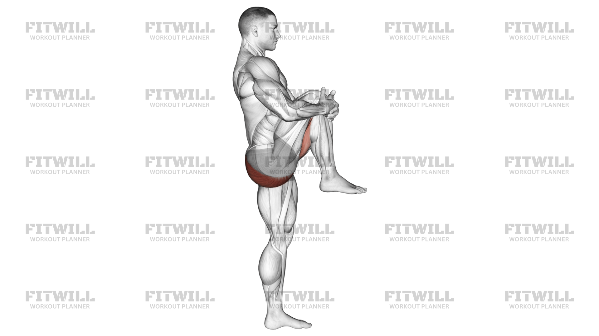 Standing Knee To Chest Stretch: Exercise Guide, Techniques, Benefits ...