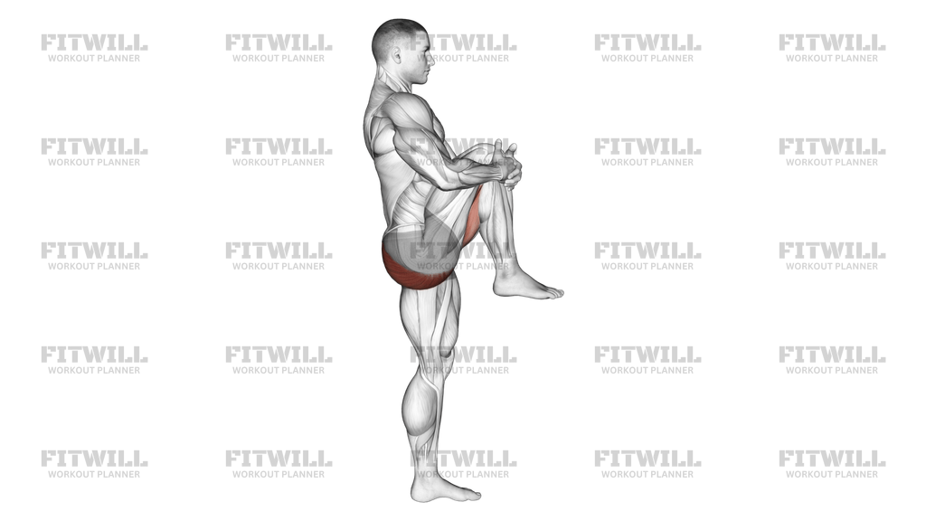 Standing Knee To Chest Stretch: Exercise Guide, Techniques, Benefits ...