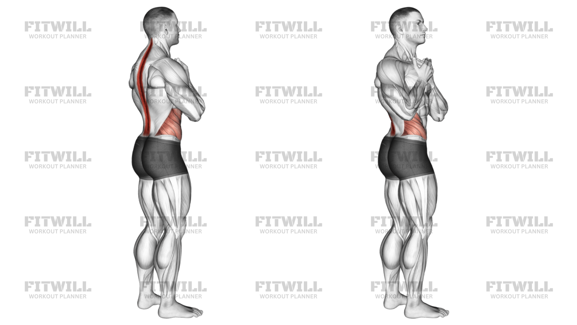 Standing Back Rotation Stretch: Exercise Guide, Video, Techniques ...