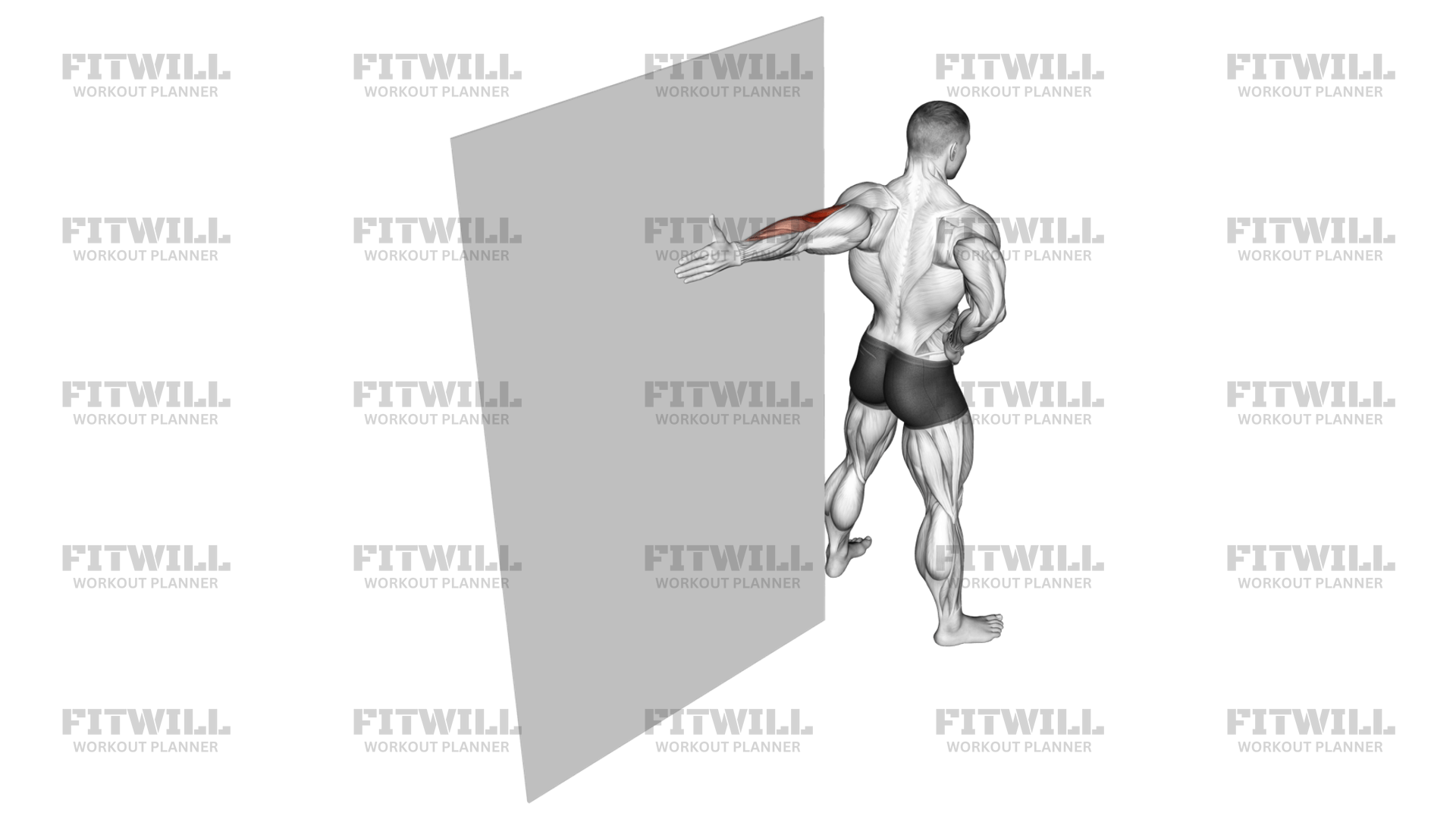 Elbow Flexor Stretch: Exercise Guide, Video, Techniques, Benefits, How ...