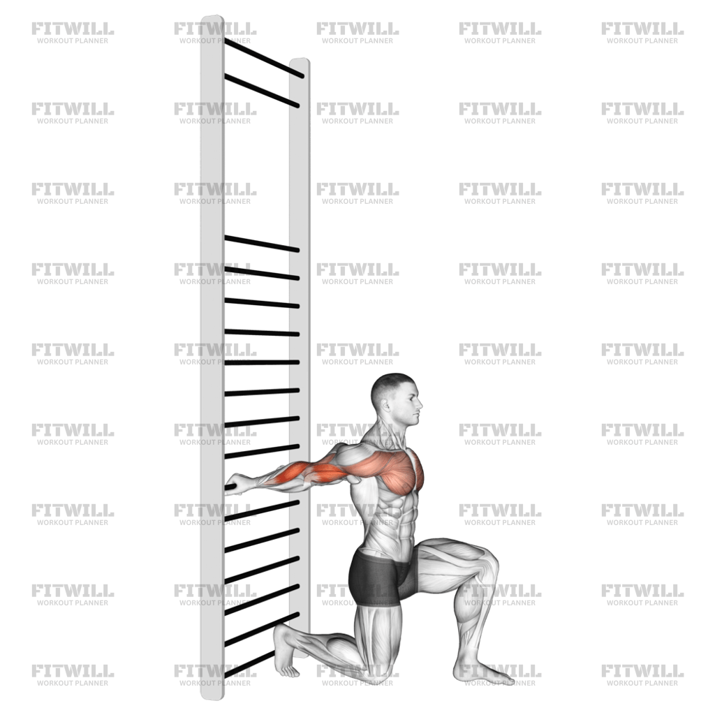 Arms Stretch On A Support: Exercise Guide, Techniques, Benefits, How to ...