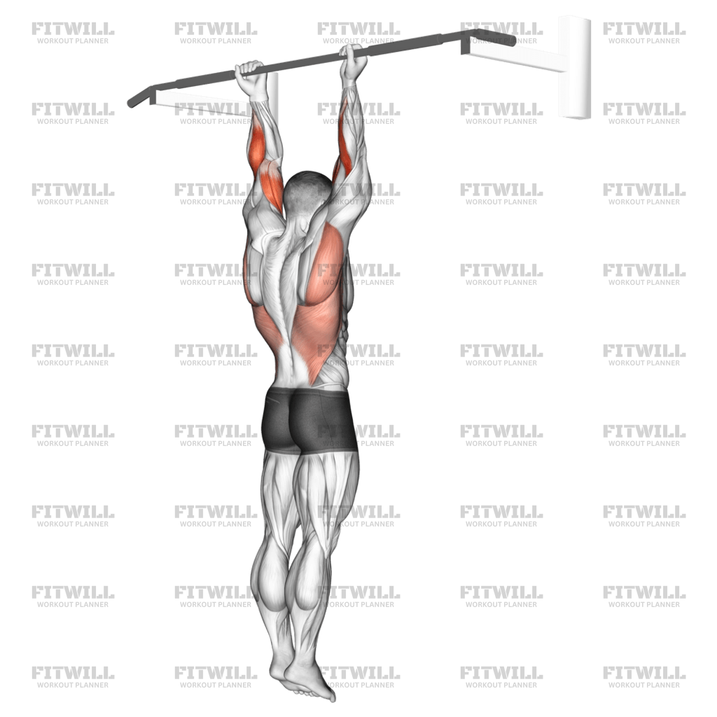 Supination Bar Suspension Stretch: Exercise Guide, Video, Techniques ...