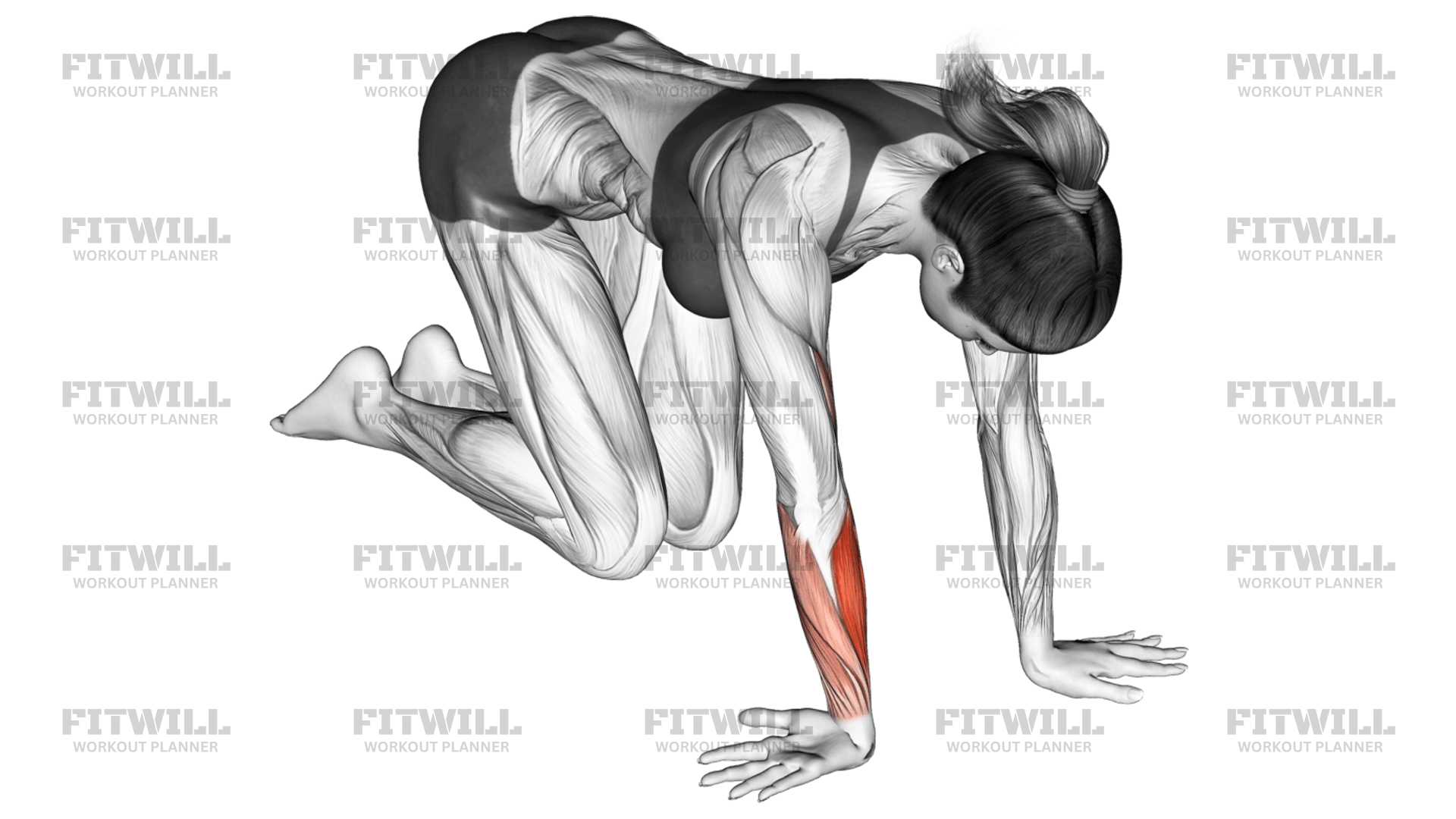 Wrist Ulnar Deviator And Extensor Stretch: Exercise Guide, Techniques ...