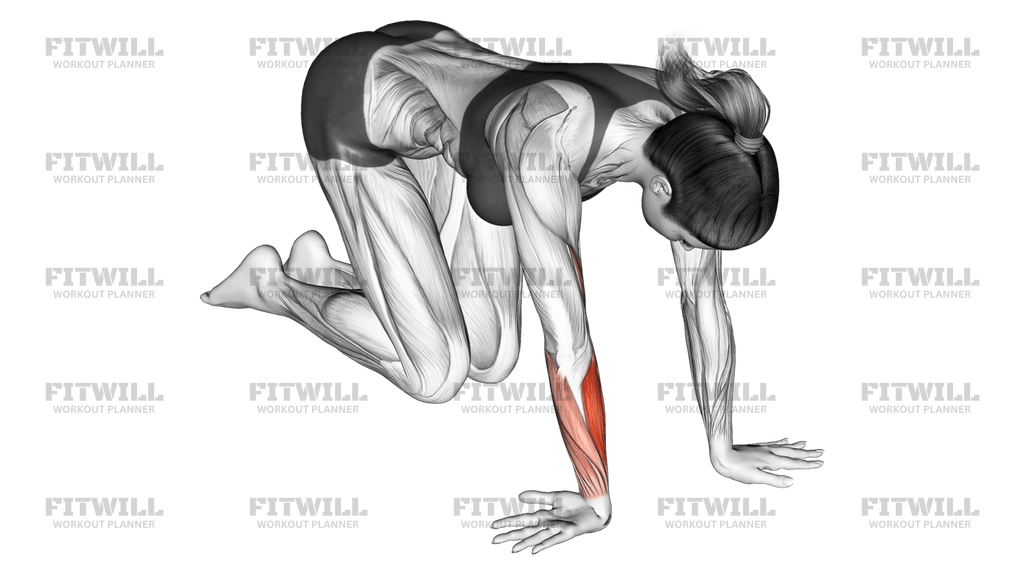 Wrist Ulnar Deviator And Extensor Stretch: Exercise Guide, Techniques ...