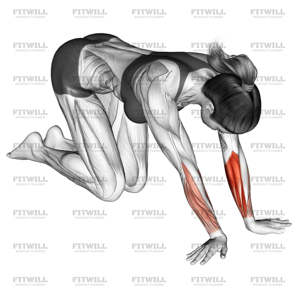 Wrist Radial Deviator And Flexor Stretch: Exercise Guide, Techniques ...