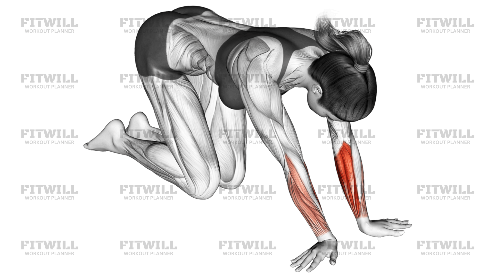 Wrist Radial Deviator And Flexor Stretch: Exercise Guide, Techniques ...