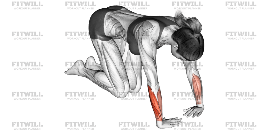 Wrist Ulnar Deviator And Flexor Stretch: Exercise Guide, Video ...