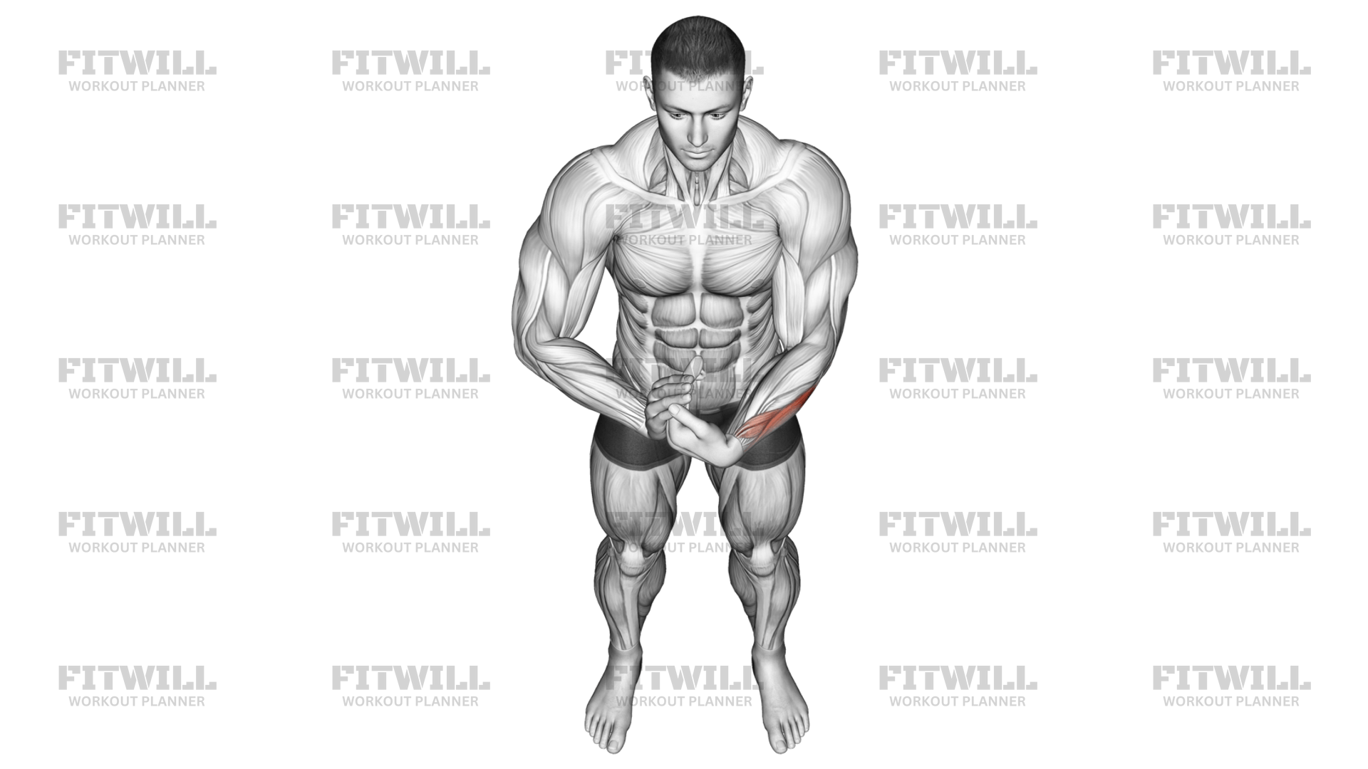 Finger Extensor Stretch: Exercise Guide, Techniques, Benefits, How to, Muscles Worked, Tips ...