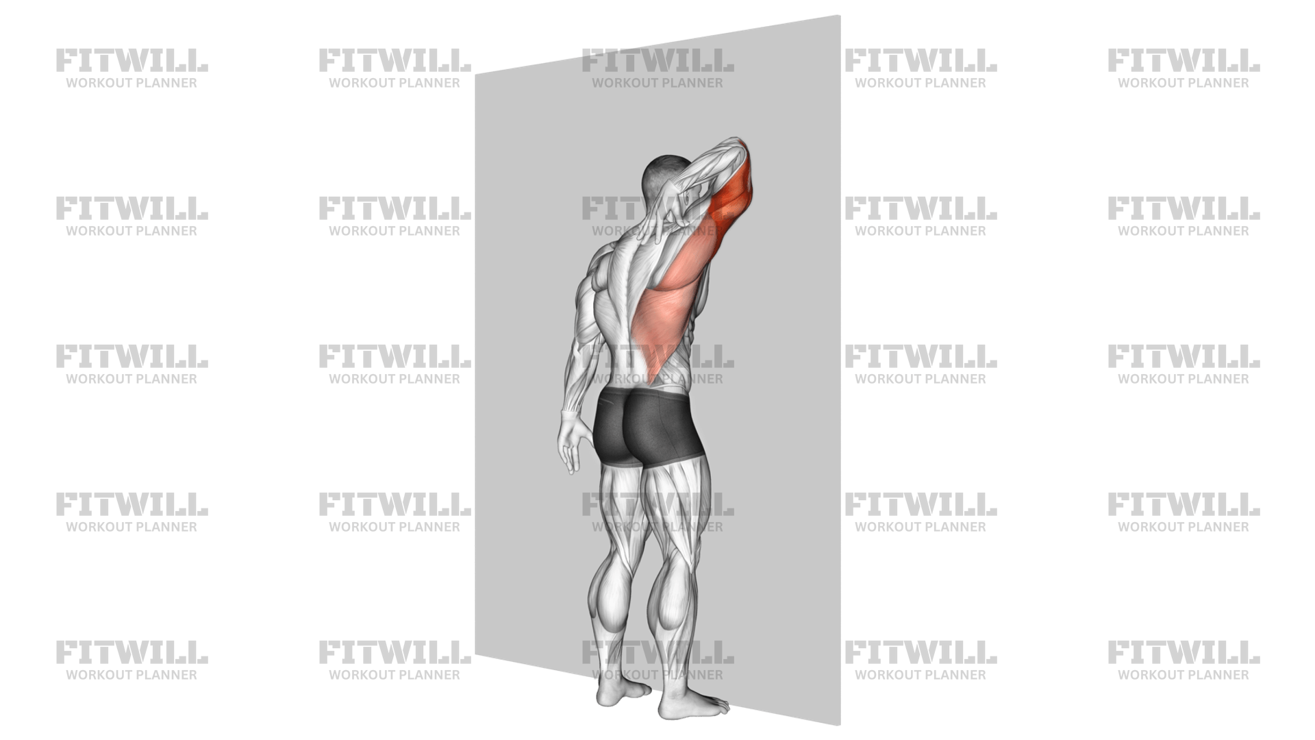 Triceps Stretch Against Wall: Exercise Guide, Techniques, Benefits, How ...