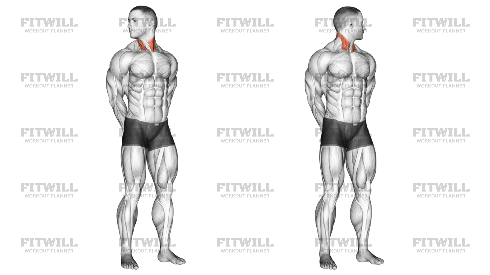 Rotating Neck Stretch: Exercise Guide, Video, Techniques, Benefits, How ...