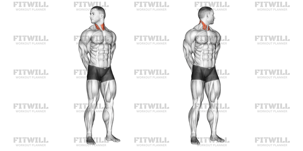 Rotating Neck Stretch: Exercise Guide, Video, Techniques, Benefits, How ...