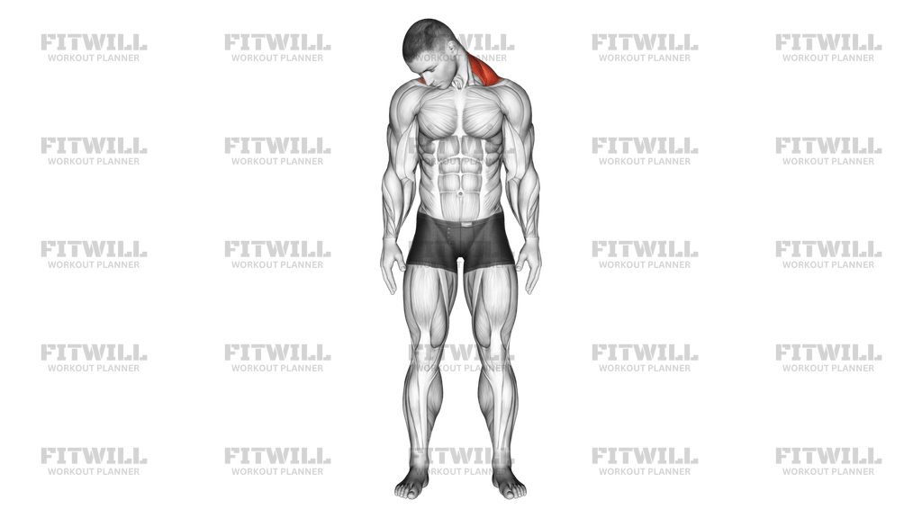 Diagonal Flexion Neck Stretch: Exercise Guide, Techniques, Benefits ...